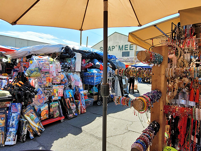 Step through these doors and enter a parallel shopping universe where your dollar stretches like yoga pants.