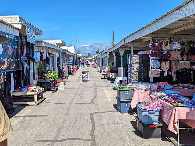 The San Gabriel Mountains create a dramatic backdrop for this treasure hunter's paradise, where one person's castoffs become another's prized possessions.