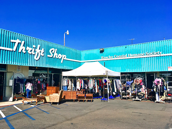 The turquoise treasure chest of Cardiff beckons with its vibrant exterior&mdash;proof that the best shopping experiences sometimes come in unassuming packages.