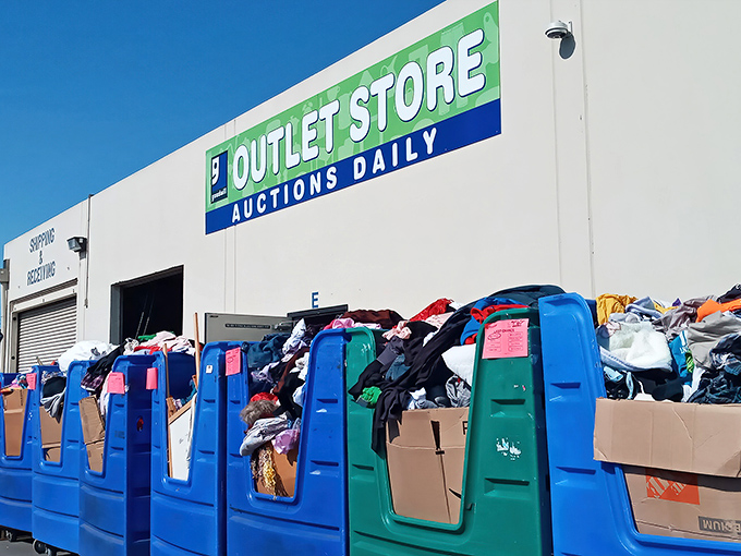 The iconic blue bins outside hint at the treasure hunt awaiting inside. Like archaeological digs for the modern bargain hunter.