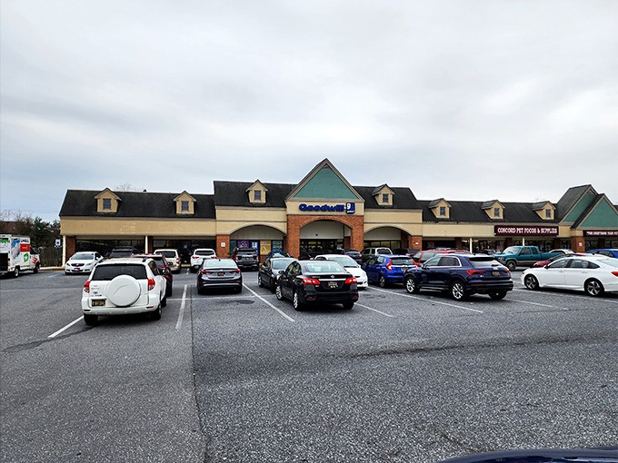 The brick-and-teal facade of Goodwill Bear might look unassuming, but inside awaits Delaware's ultimate treasure-hunting playground.