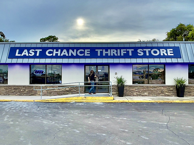 The blue sign beckons like a retail siren song, promising treasures within this unassuming Palm Harbor storefront. Your wallet is already sighing with relief.