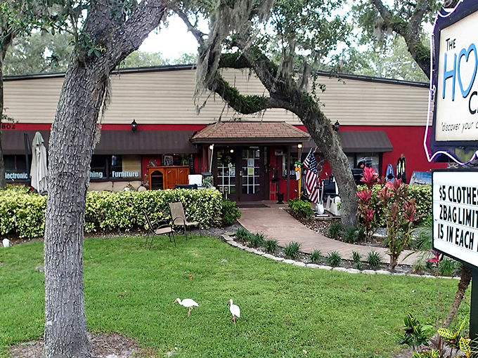 Sunshine, Spanish moss, and secondhand treasures await under that bright blue roof. The HOPE Chest's inviting exterior promises bargains beneath Florida's perfect sky.