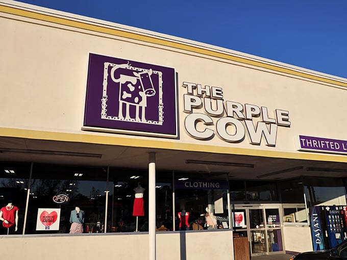 The Purple Cow's iconic storefront beckons thrift hunters with its bold signage and promise of treasures waiting just beyond those glass doors.