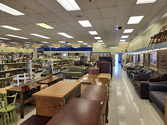 Treasure hunting begins in these well-stocked aisles where one person's castoffs become another's prized possessions. Every shelf holds potential discoveries.