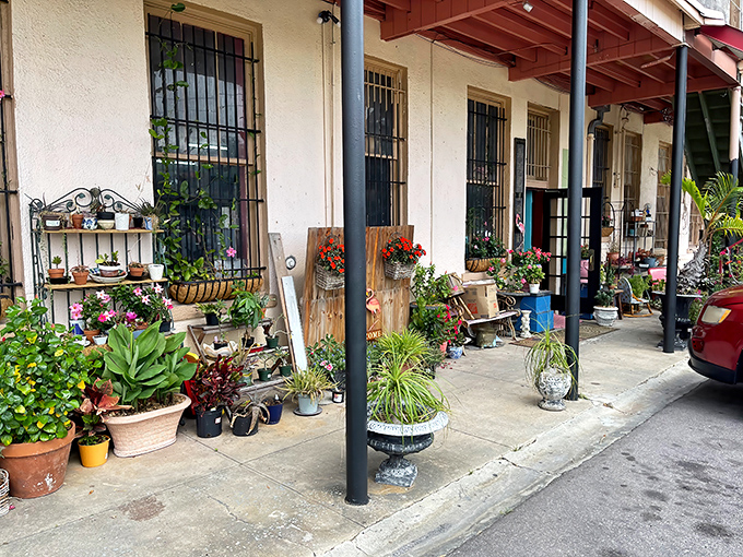 The entrance welcomes you with a jungle of potted plants, like nature decided to throw its own vintage party on the sidewalk.