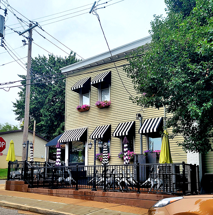 The Piccadilly's cheerful yellow facade and striped awnings beckon like a grandmother's warm embrace on a Sunday afternoon.