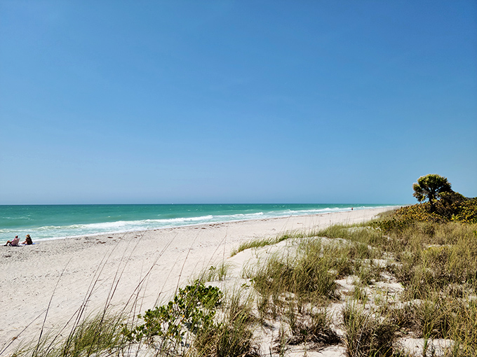 Paradise found: Don Pedro's pristine shoreline stretches into the distance under a canopy of perfect Florida clouds, nature's own screensaver come to life.