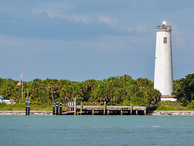 Your first glimpse of paradise! Egmont Key's lighthouse stands tall against the azure Gulf waters, beckoning adventurers to a world away from theme parks and traffic.