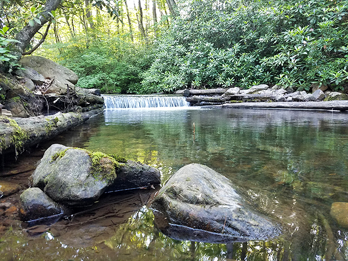 Nature's perfect greens span the gentle waters, inviting visitors to cross into a world where deadlines and devices suddenly seem less important. 