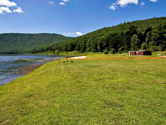 Summer serenity at its finest. This lakeside lawn practically begs for picnic blankets, paperback novels, and afternoon naps under Pennsylvania's blue skies.