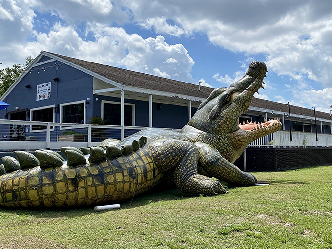 Nothing says &ldquo;welcome to Florida&rdquo; quite like pizza served under the watchful eye of a giant gator.