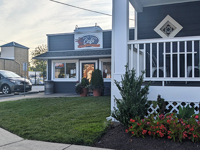 The unassuming blue exterior of South County Cafe proves once again that culinary treasures often hide in plain sight along Maryland's coastal byways.