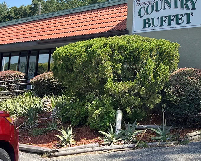 The unassuming exterior of Brown's Country Buffet hides a culinary treasure. Like finding a $20 bill in old jeans, what's inside will make your day infinitely better.