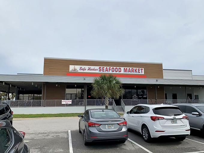 The unassuming exterior of Safe Harbor Seafood Market belies the oceanic treasures within. Like finding Shakespeare performing at a strip mall.