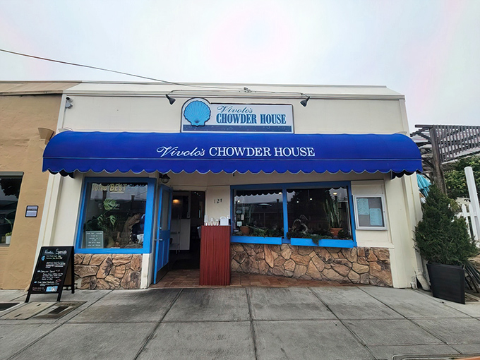 That iconic blue awning beckons like a lighthouse for hungry souls. Vivolo's modest exterior hides culinary treasures that locals have cherished for years.