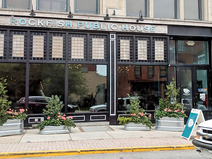 The turquoise sign of Rockfish Public House beckons seafood lovers like a lighthouse guiding ships to delicious harbor.