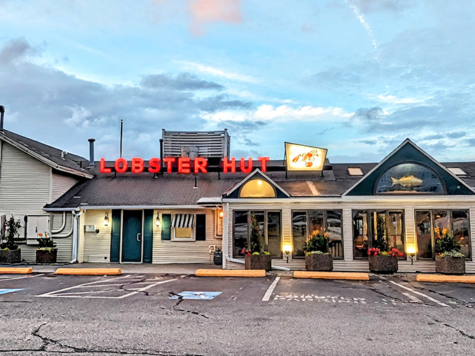 The iconic red "LOBSTER HUT" sign glows like a lighthouse for hungry souls. Plymouth's waterfront treasure has been calling seafood lovers home since 1971.