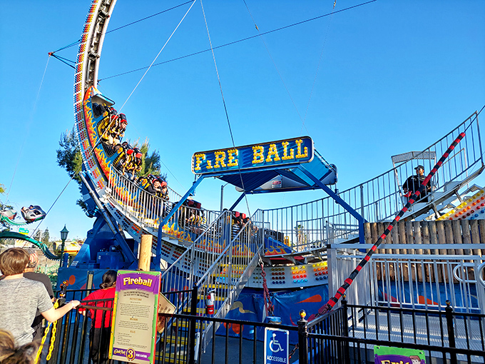 The Fireball ride sends visitors spinning through the air with just enough thrill to elicit genuine screams of delight rather than terror.