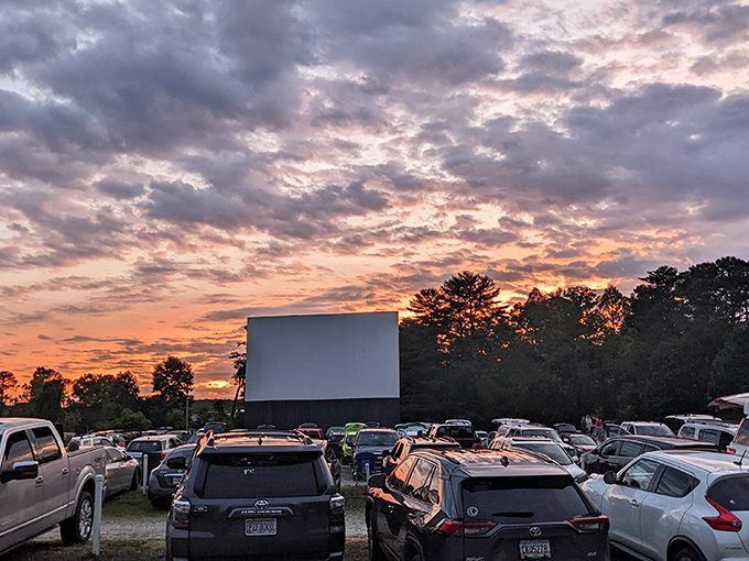 Sunset magic transforms the Swan Drive-In into a communal cathedral of storytelling, where pickup trucks become luxury boxes and Georgia twilight provides the perfect backdrop.