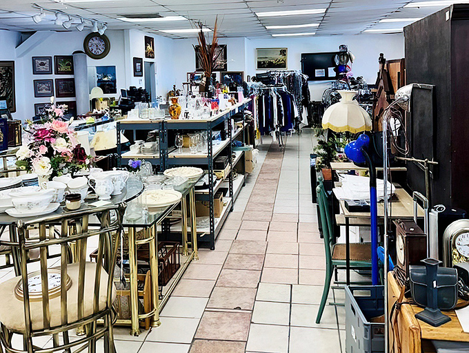 Step into The White Rabbit's wonderland of vintage treasures, where every aisle promises a new discovery waiting to be unearthed.