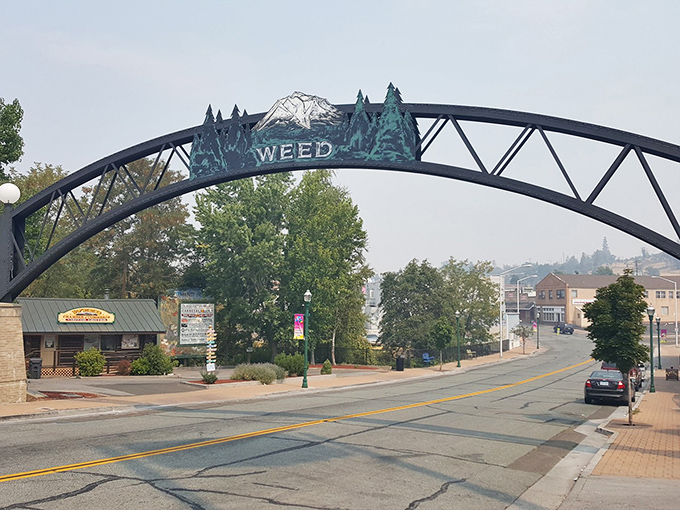 That iconic arch welcomes you like a friend who knows all the best local secrets.