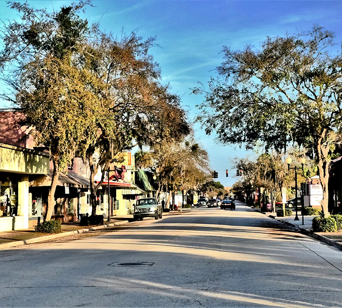 Downtown Palatka's tree-lined main street offers that increasingly rare small-town charm where you can actually find parking without needing a search party.