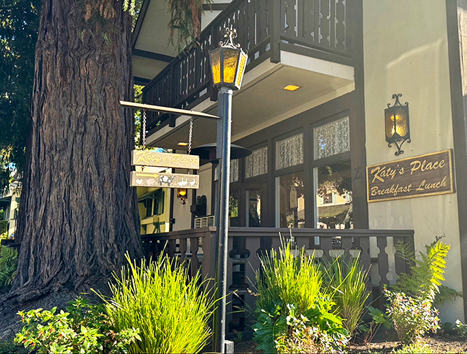 The storybook entrance to Katy's Place, where that majestic tree has probably witnessed more breakfast epiphanies than a morning talk show host.