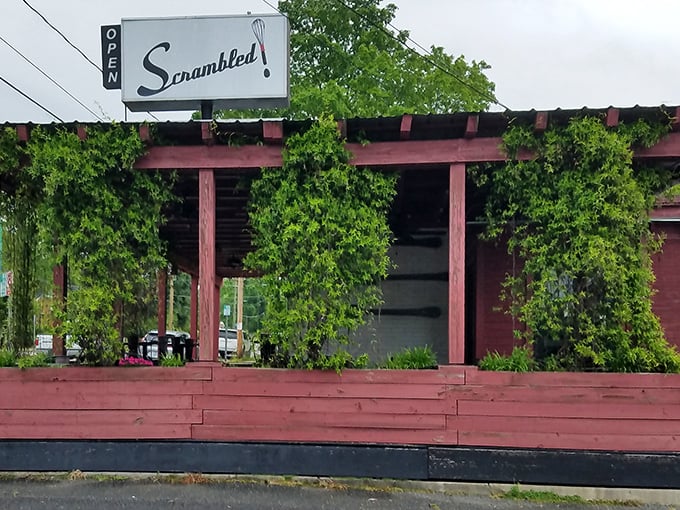 That charming red exterior with cascading vines whispers "breakfast magic awaits" louder than any neon sign ever could.