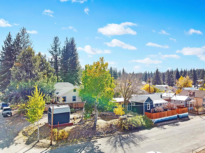 Portola's residential charm on full display with pine-framed homes and golden autumn foliage&mdash;small-town living with big mountain character.