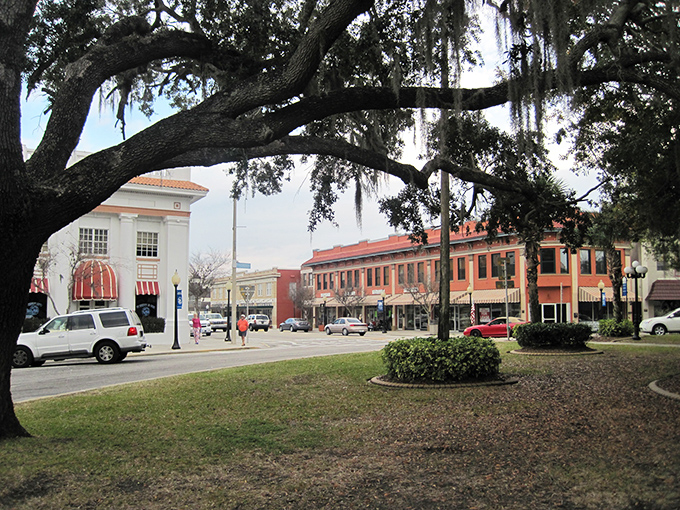 Spanish moss drapes over Sebring's historic downtown like nature's own awnings, creating a postcard-perfect scene that whispers "slow down and stay awhile."