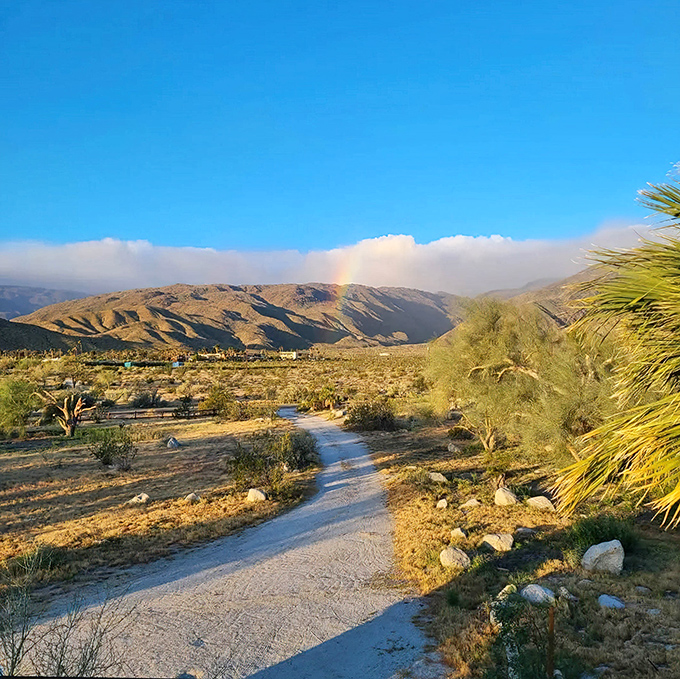 That moment when the desert decides to paint you a rainbow. Mother Nature showing off her watercolor skills while the rest of us fumble with stick figures.