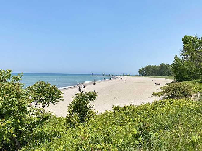 Geneva State Park's pristine shoreline stretches like nature's welcome mat, inviting you to kick off your shoes and forget about Monday's problems.