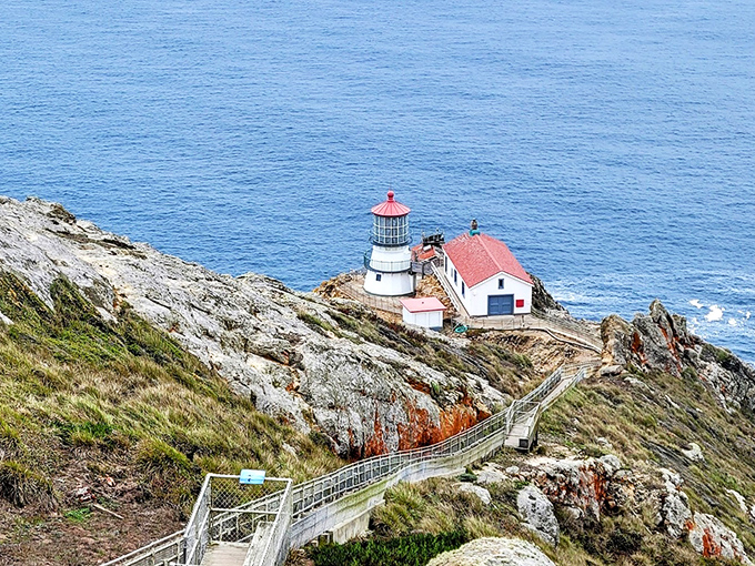 The ultimate cliffhanger: Point Reyes Lighthouse clings dramatically to the headlands, with its iconic staircase zigzagging down like nature's own thriller movie set.