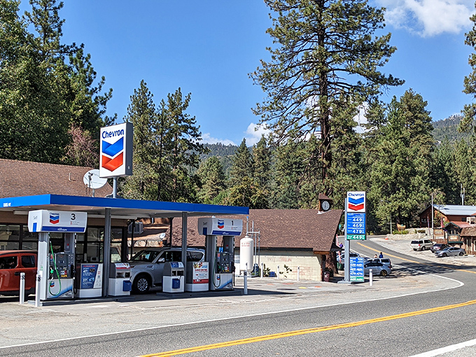 Even the gas stations in Idyllwild look like they belong in a postcard, surrounded by towering pines and mountain air that makes regular unleaded smell like adventure.