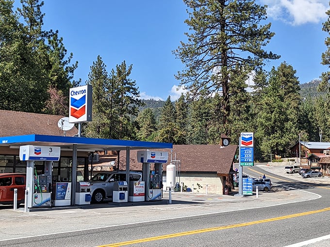 Even the gas stations in Idyllwild look like they belong in a postcard, surrounded by towering pines and mountain air that makes regular unleaded smell like adventure.