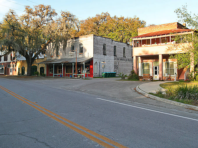Historic buildings line Cholokka Boulevard, Micanopy's main street, where time seems to slow down under the watchful gaze of moss-draped oaks.