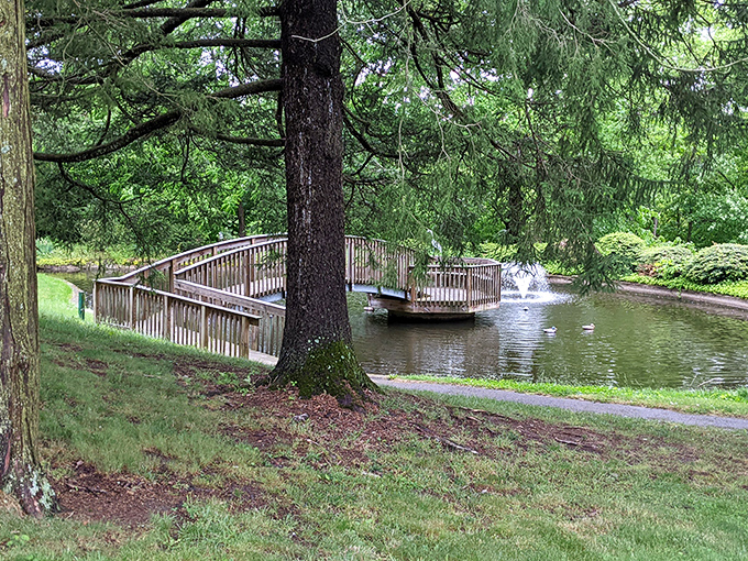 Those wooden bridges aren't just functional &ndash; they're practically begging you to play Pooh Sticks like you're twelve again.
