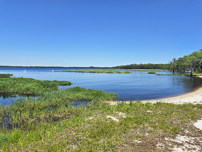 Tranquil waters meet grassy shores at Lake Louisa, where blue skies and gentle waves create the perfect escape into Florida&rsquo;s natural beauty.