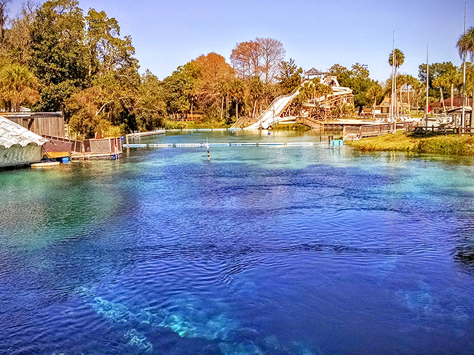 The crystal-clear waters of Weeki Wachee Springs invite you in like an old friend with exceptionally good taste in swimming holes.