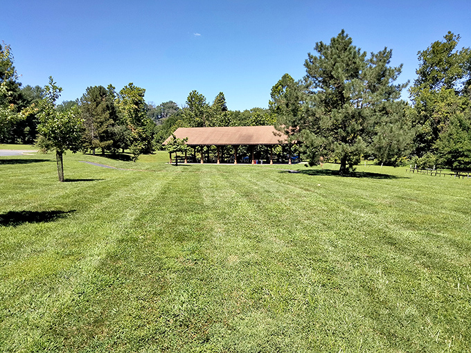 The perfect picnic pavilion awaits at Susquehanna State Park, where Mother Nature provides the ambiance and you bring the sandwiches. No reservation required for the birdsong soundtrack.