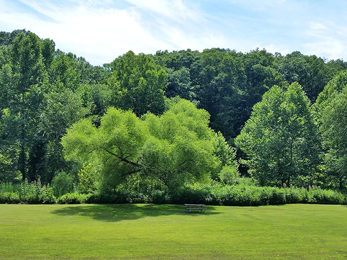 Nature's perfect picnic spot awaits at Lake Hope, where this lakeside bench offers front-row seats to Ohio's version of a meditation retreat.