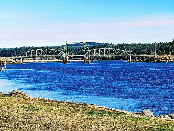 Nature's committee meeting in progress: wild turkeys debate picnic table politics while moss-draped trees stand as silent witnesses to the deliberation.