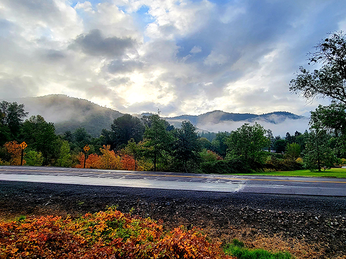 Morning fog embraces the mountains like nature's own special effect, turning Valley of the Rogue into a dreamy landscape worthy of a fantasy film.