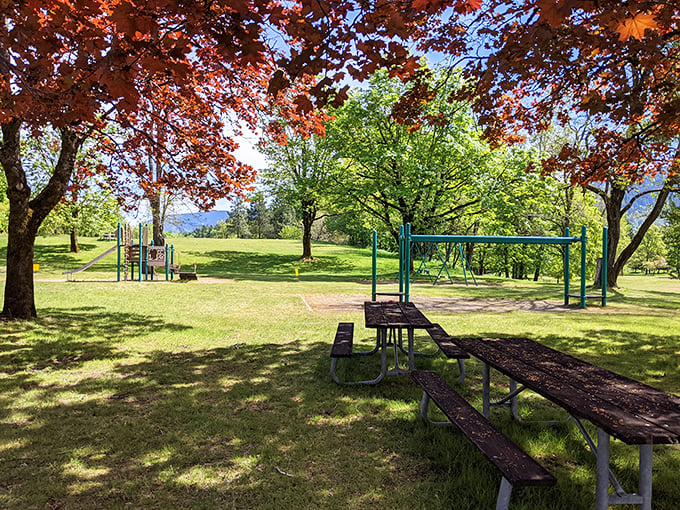 Picnic paradise awaits under a canopy of maple trees, where playground equipment stands ready for the kids while adults contemplate the meaning of "relaxation."