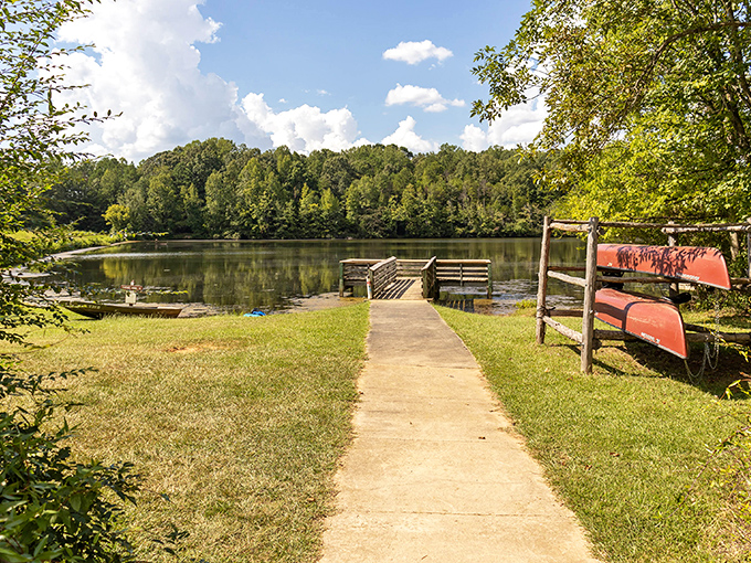This wooden deck nestled among towering trees offers a peaceful retreat where nature provides better entertainment than anything on your streaming services.