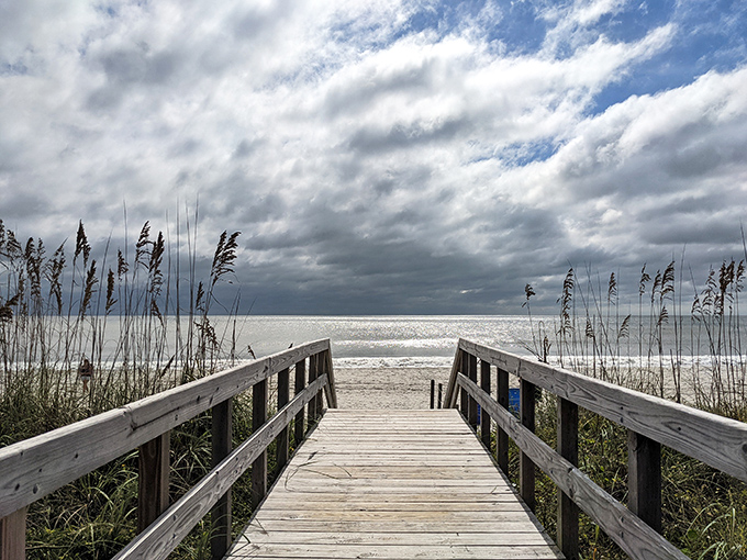 Where golden sea oats dance with the breeze and the fishing pier stretches toward infinity. Nature's perfect postcard moment at dawn.