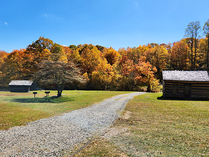 Historic log cabins nestled among autumn foliage create a scene straight out of a Robert Frost poem. Virginia's mountain heritage preserved in timber and time.