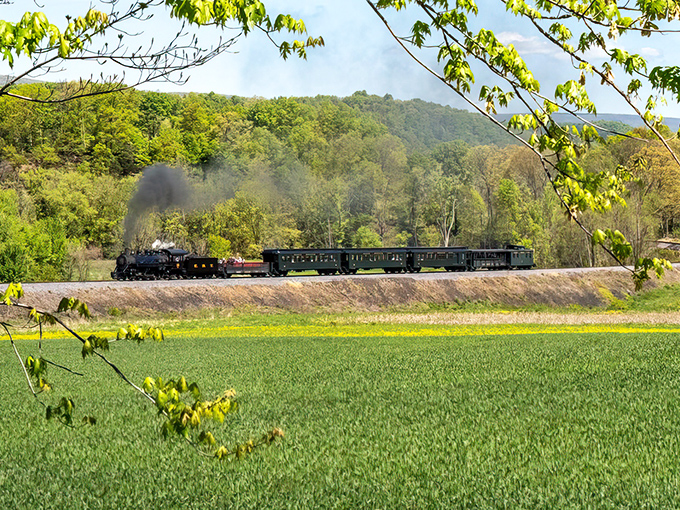 Steam and scenery create the perfect marriage as East Broad Top's locomotive glides through Pennsylvania's verdant countryside. Nature's theater with a moving front-row seat.