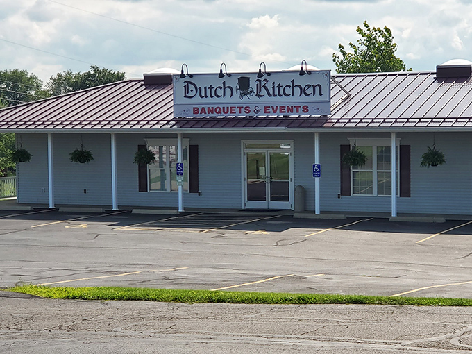 Welcome to carb heaven, where the bakery case whispers sweet nothings and the bread shelf holds tomorrow's breakfast.